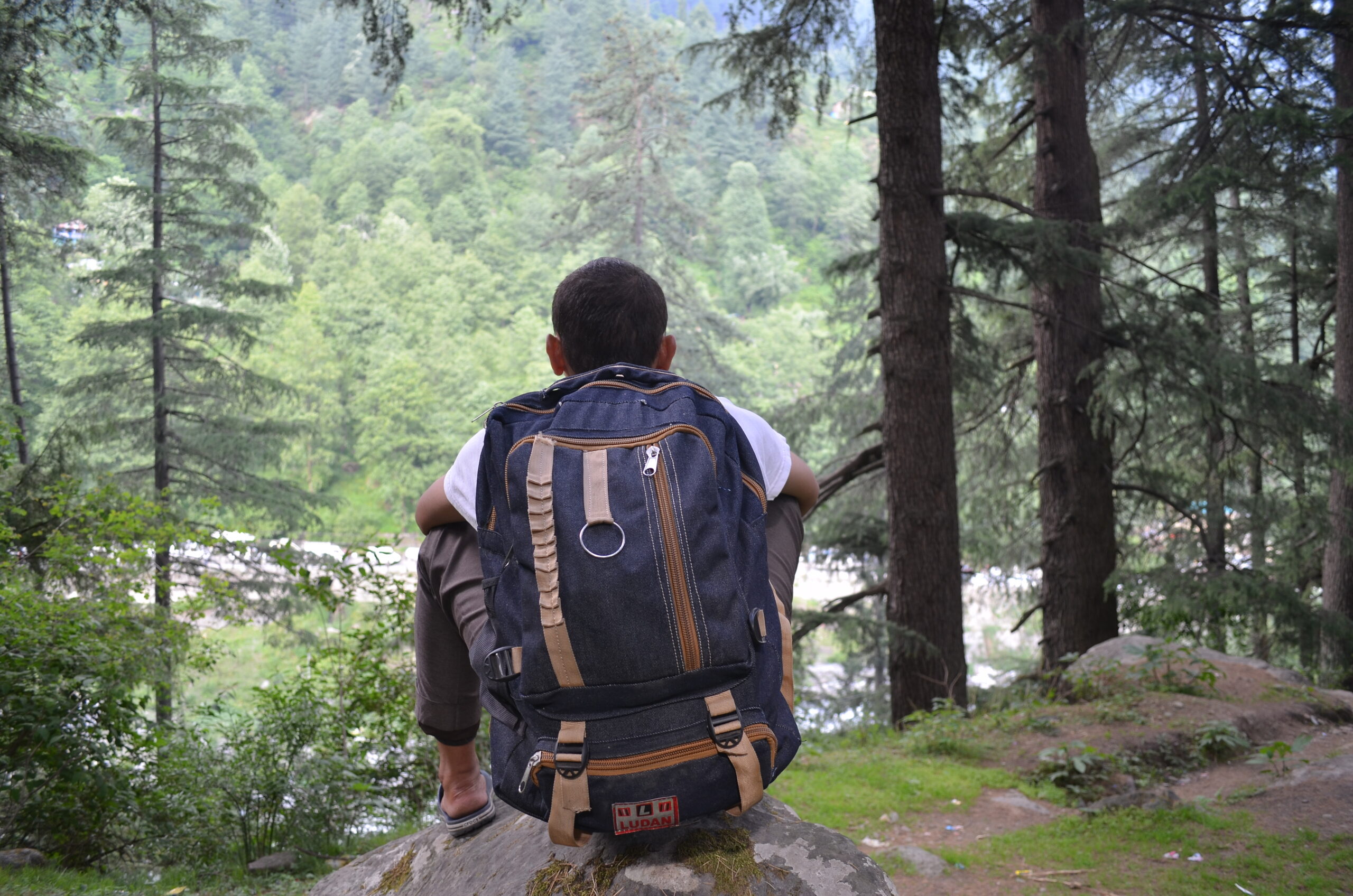 What Are The Pros And Cons Of Urban Vs. Rural Lifestyles? - Best Health ...